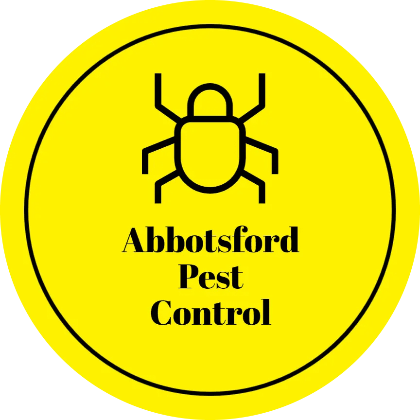 Our In-depth Guide to Sealing Pest Entry Points